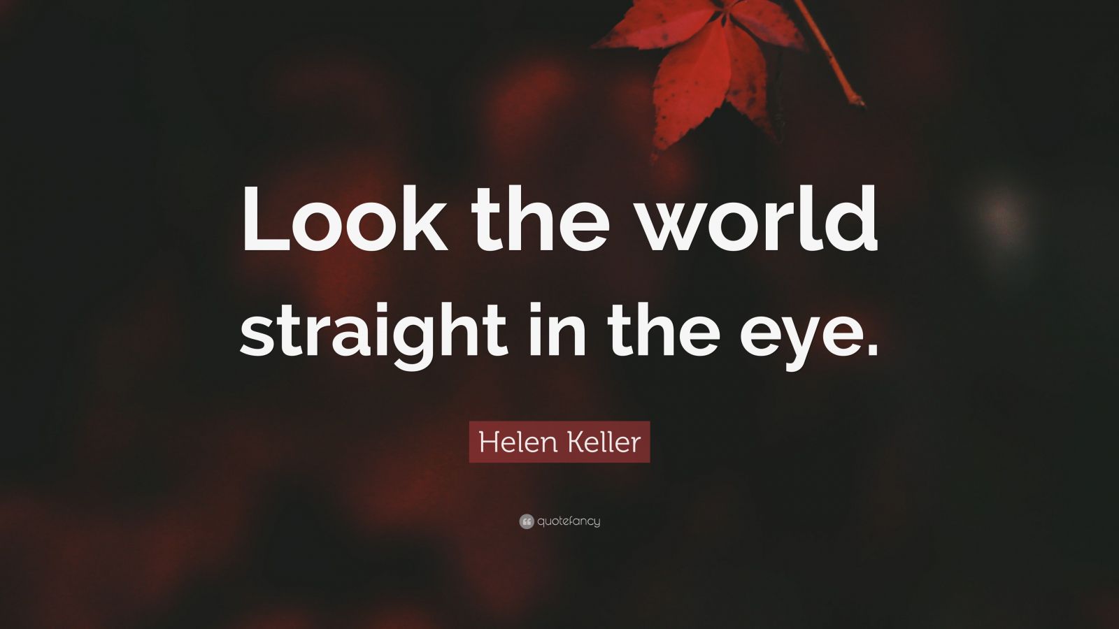 Helen Keller Quote: “Look the world straight in the eye.”