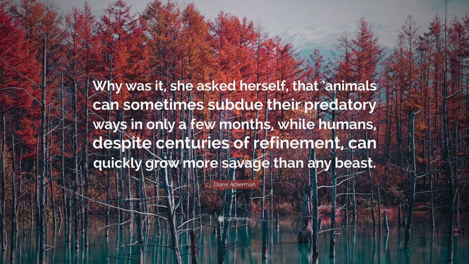 Diane Ackerman Quote: “Why was it, she asked herself, that ’animals can ...