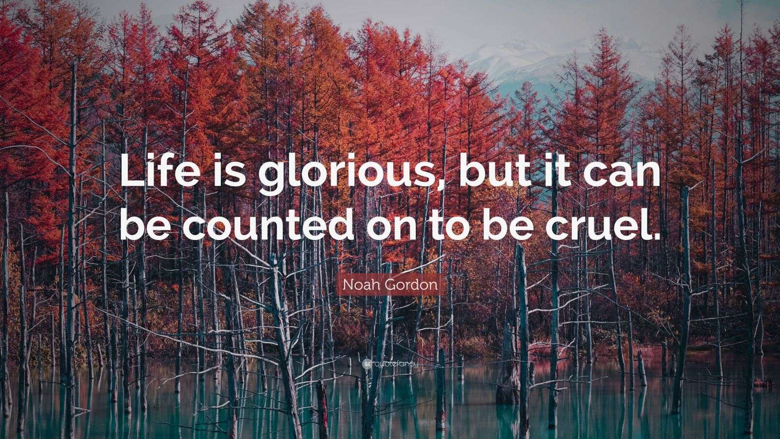 Noah Gordon Quote: “Life is glorious, but it can be counted on to be ...
