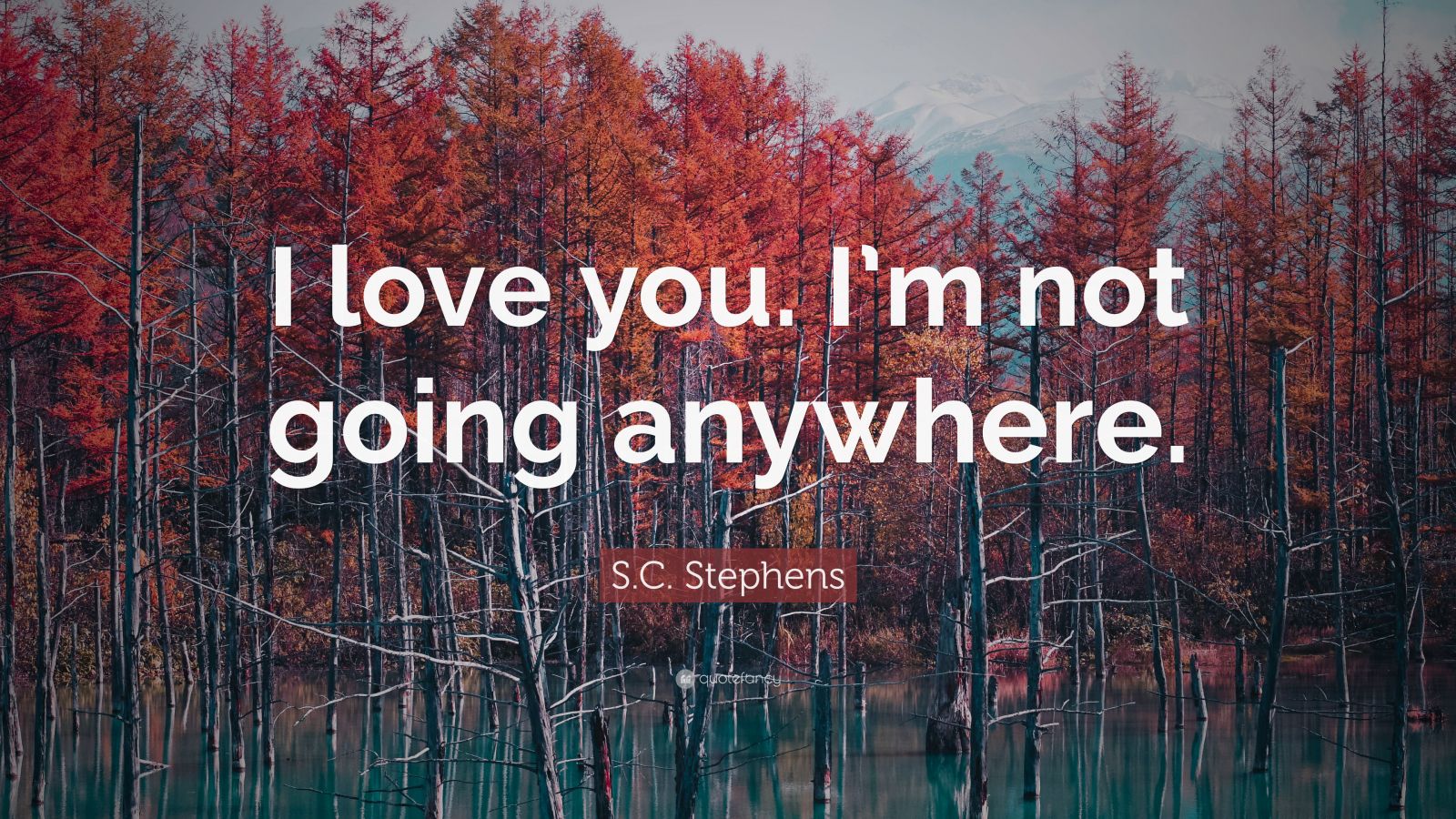 S.C. Stephens Quote: “I love you. I’m not going anywhere.”