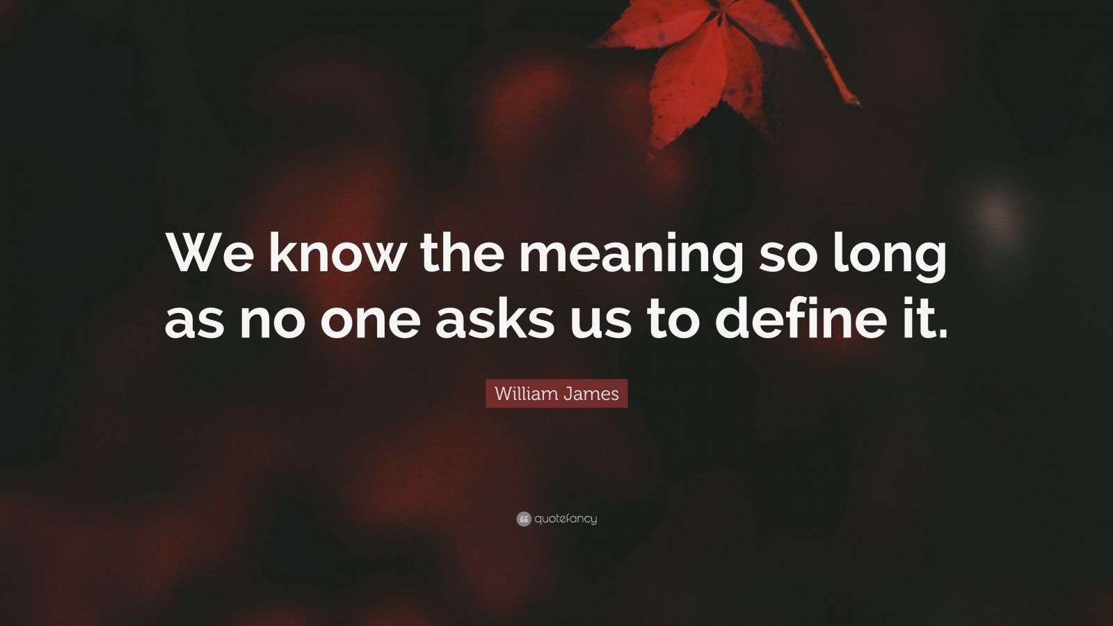 William James Quote: “We know the meaning so long as no one asks us to ...