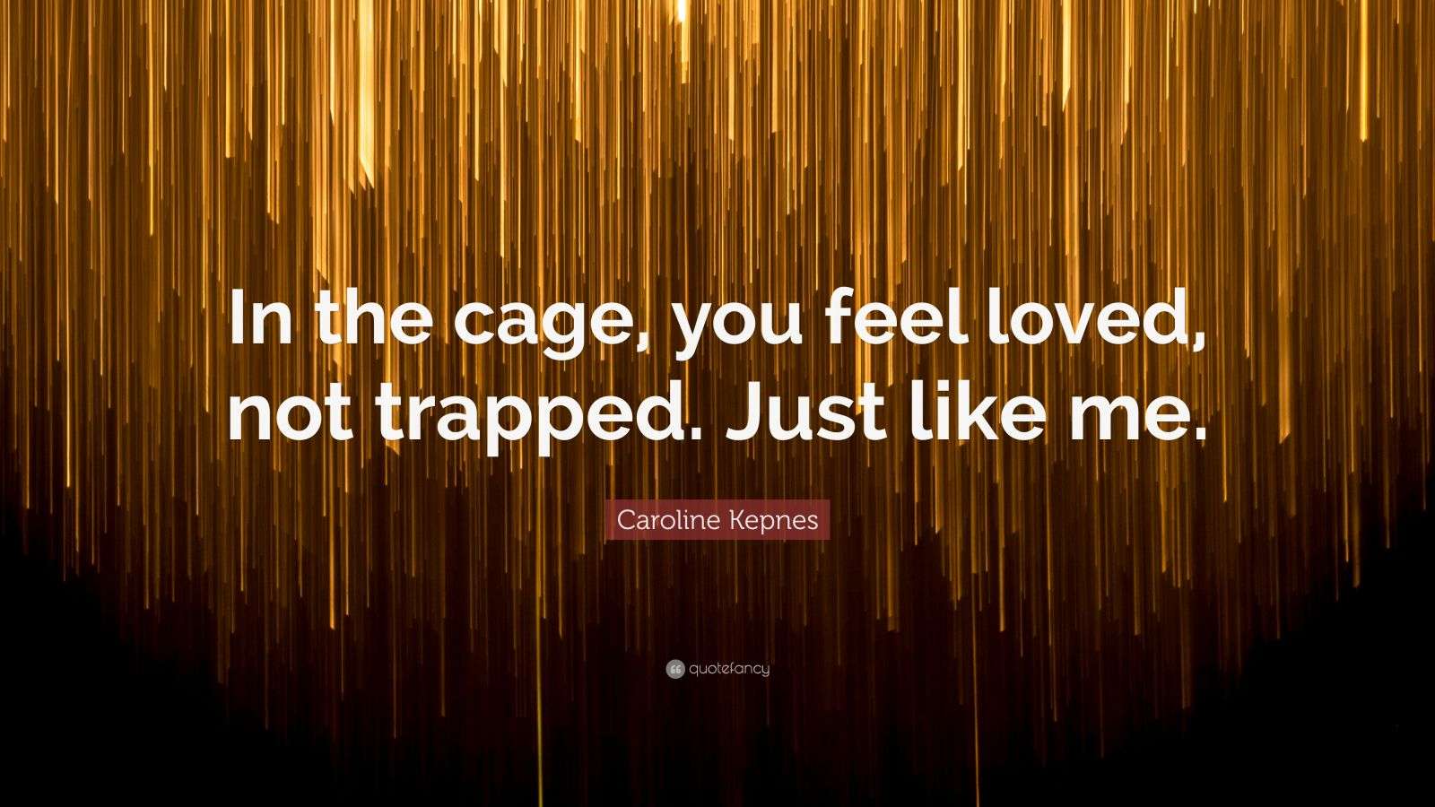 Caroline Kepnes Quote: “In the cage, you feel loved, not trapped. Just ...