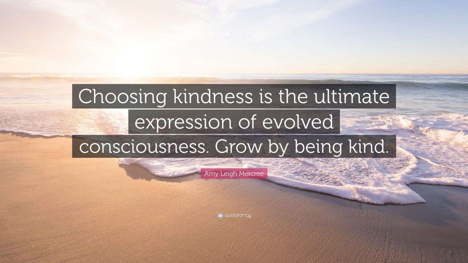 Amy Leigh Mercree Quote: “Choosing kindness is the ultimate expression ...