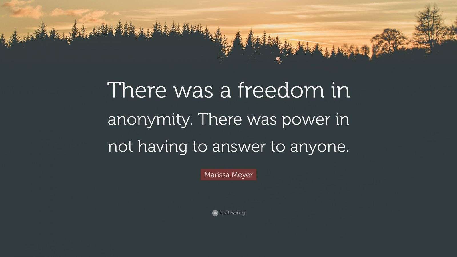 Marissa Meyer Quote: “There was a freedom in anonymity. There was power ...