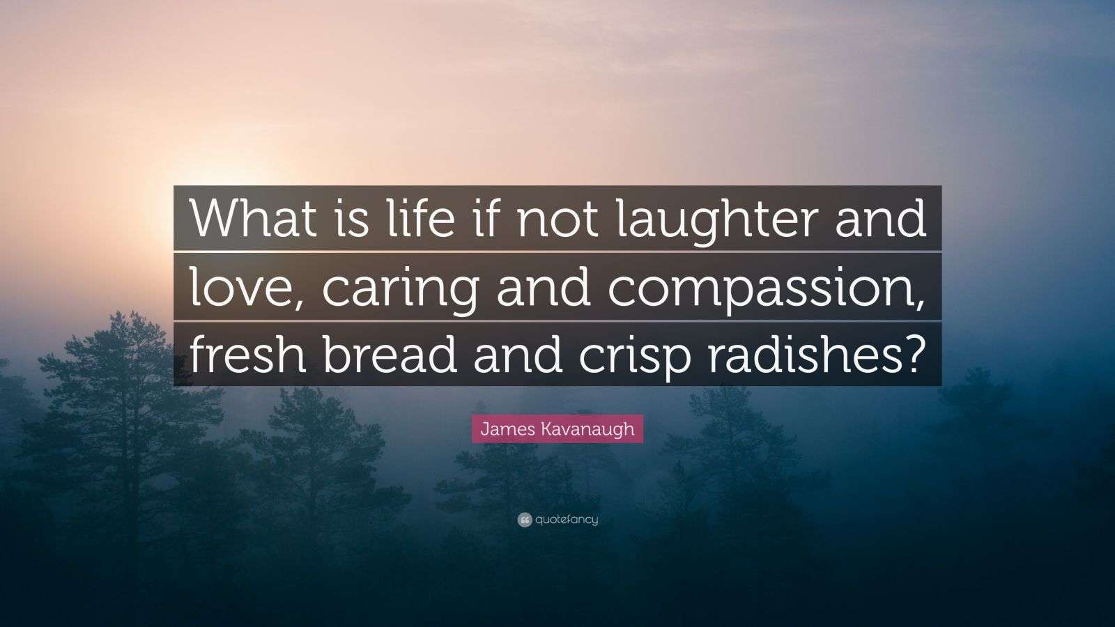 James Kavanaugh Quote: “What is life if not laughter and love, caring ...