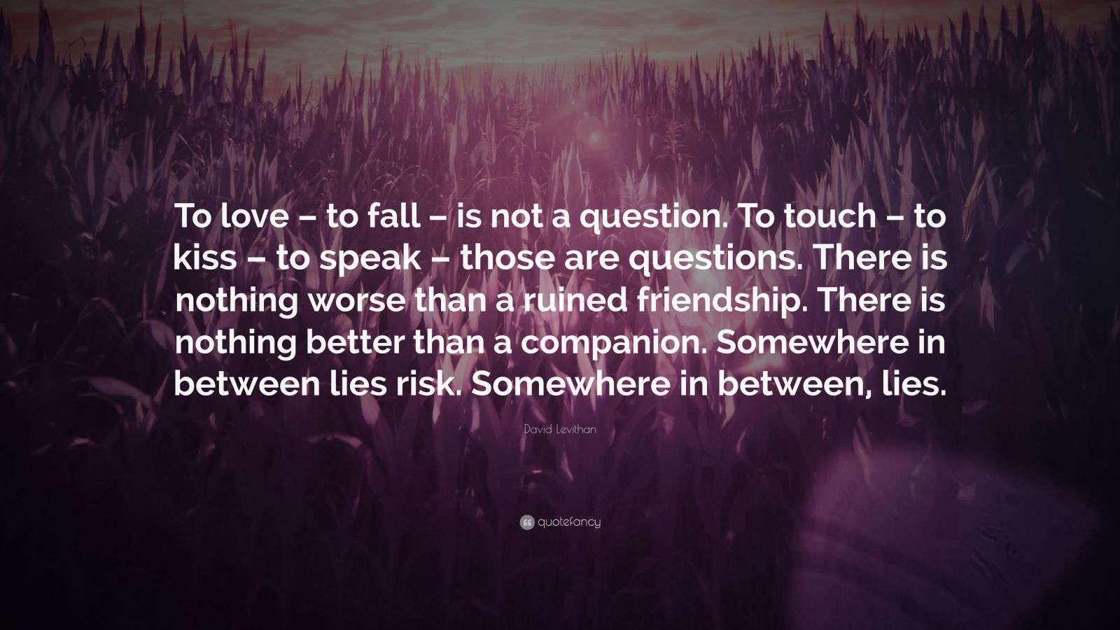 David Levithan Quote: “To love – to fall – is not a question. To touch ...