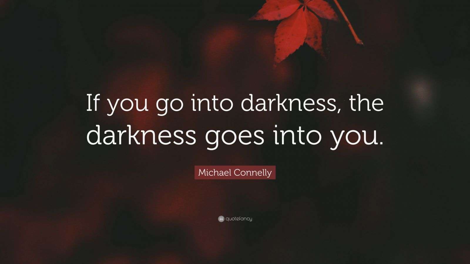 Michael Connelly Quote: “If you go into darkness, the darkness goes ...
