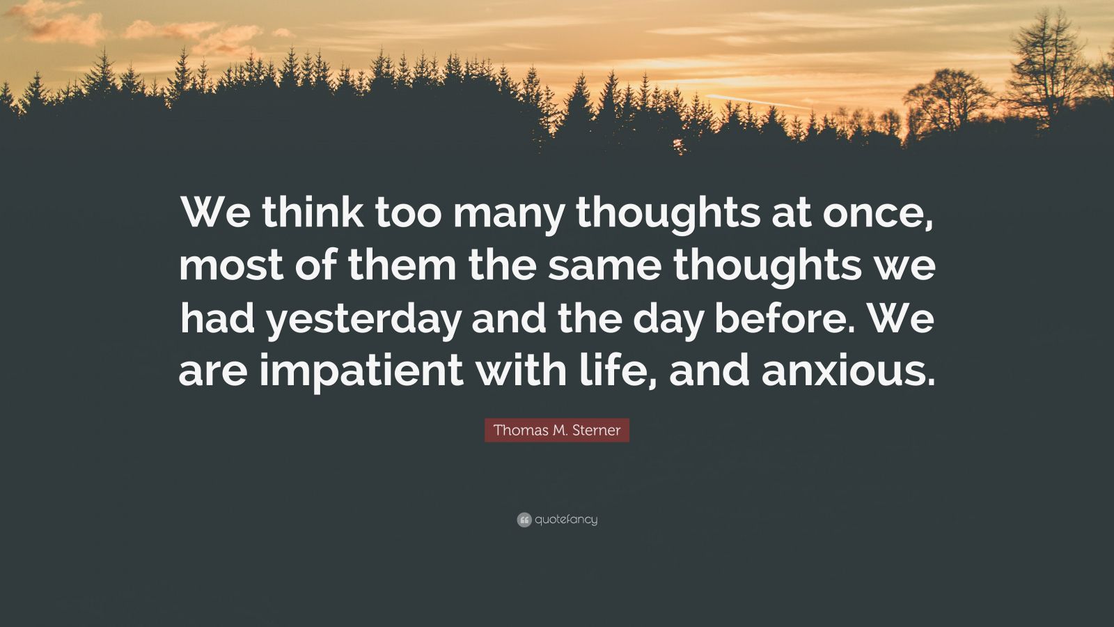 Thomas M. Sterner Quote: “We think too many thoughts at once, most of ...