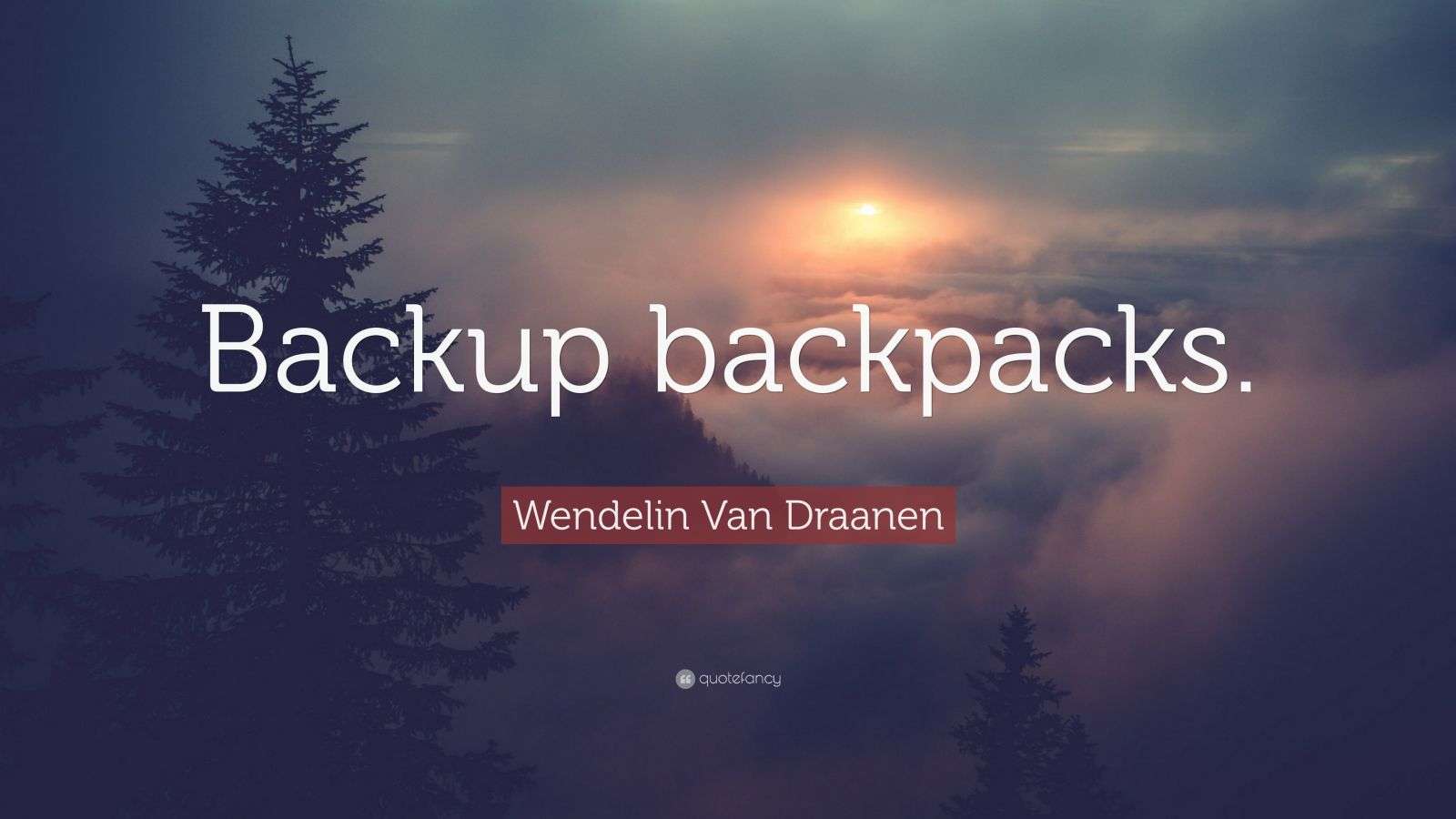 Wendelin Van Draanen Quote: “Backup backpacks.”
