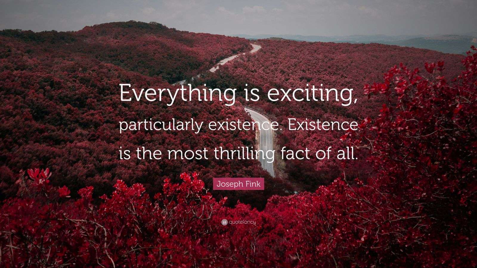 Joseph Fink Quote: “Everything is exciting, particularly existence ...