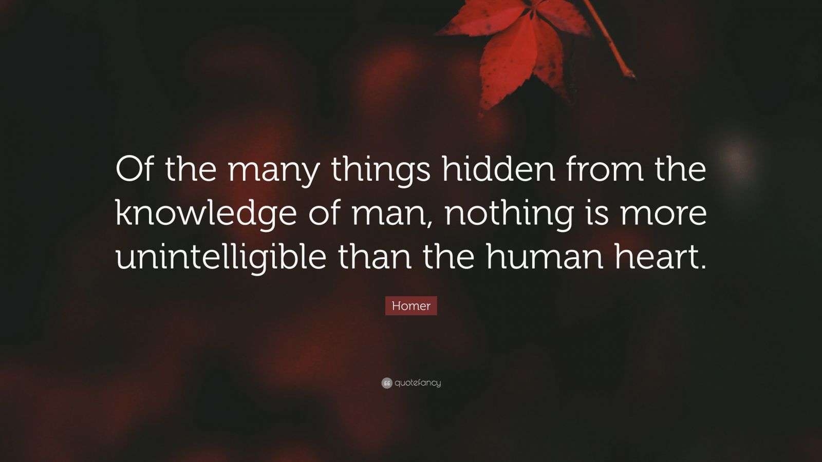 Homer Quote: “Of the many things hidden from the knowledge of man ...
