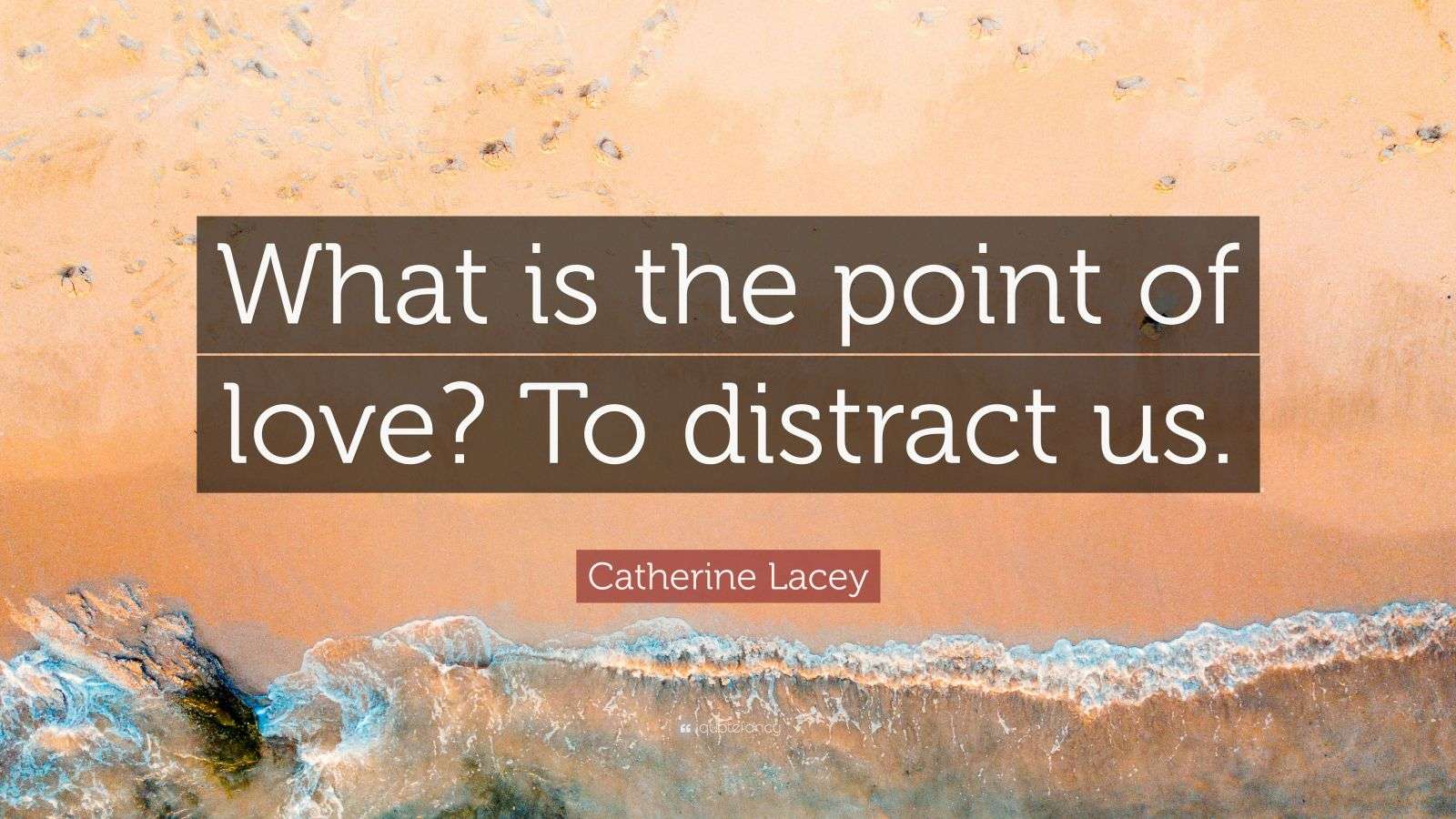 Catherine Lacey Quote: “What is the point of love? To distract us.” (2 ...