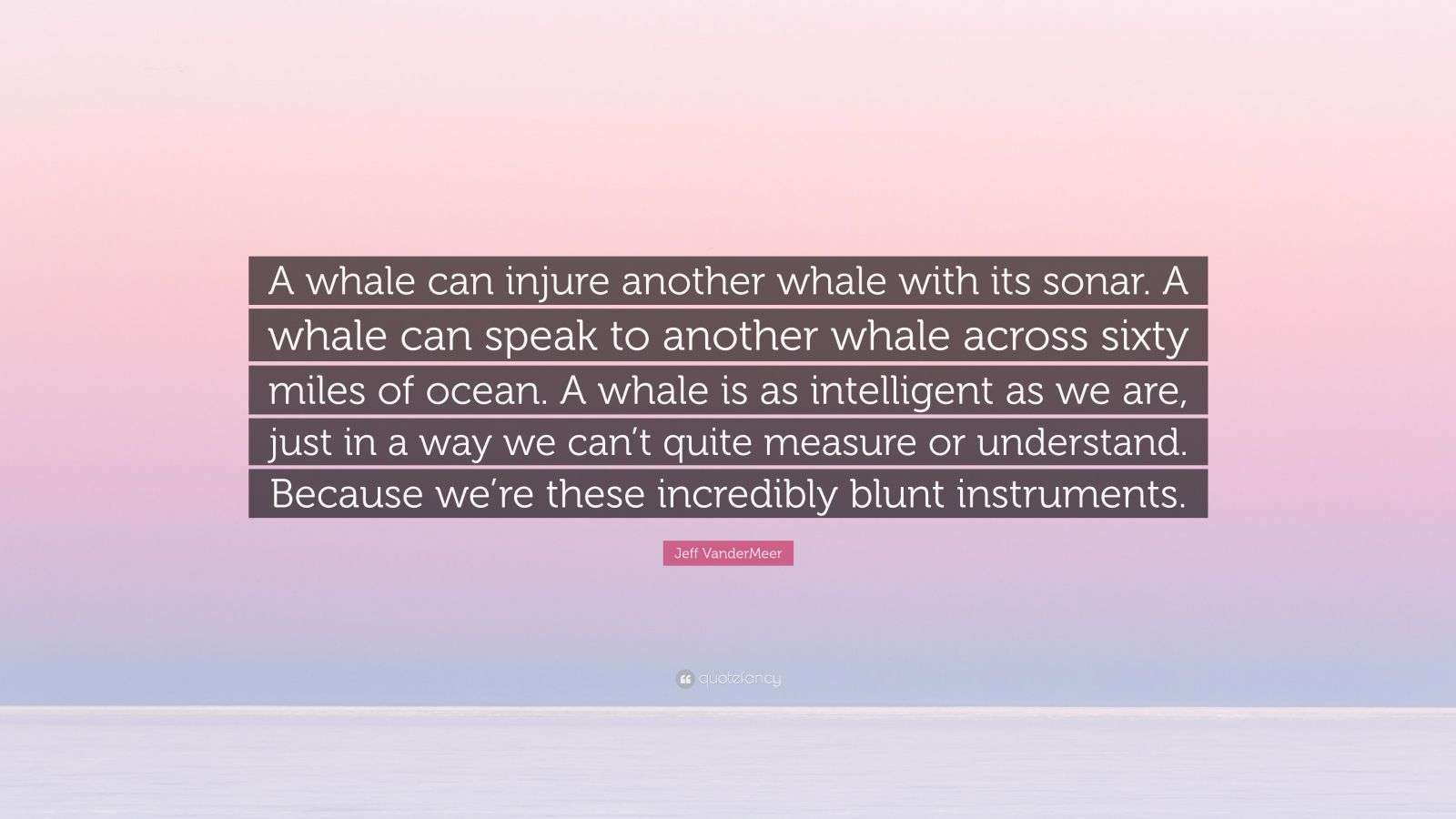 Jeff VanderMeer Quote: “A whale can injure another whale with its sonar ...