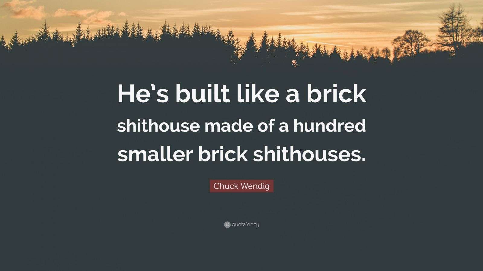 Chuck Wendig Quote: “He’s built like a brick shithouse made of a ...