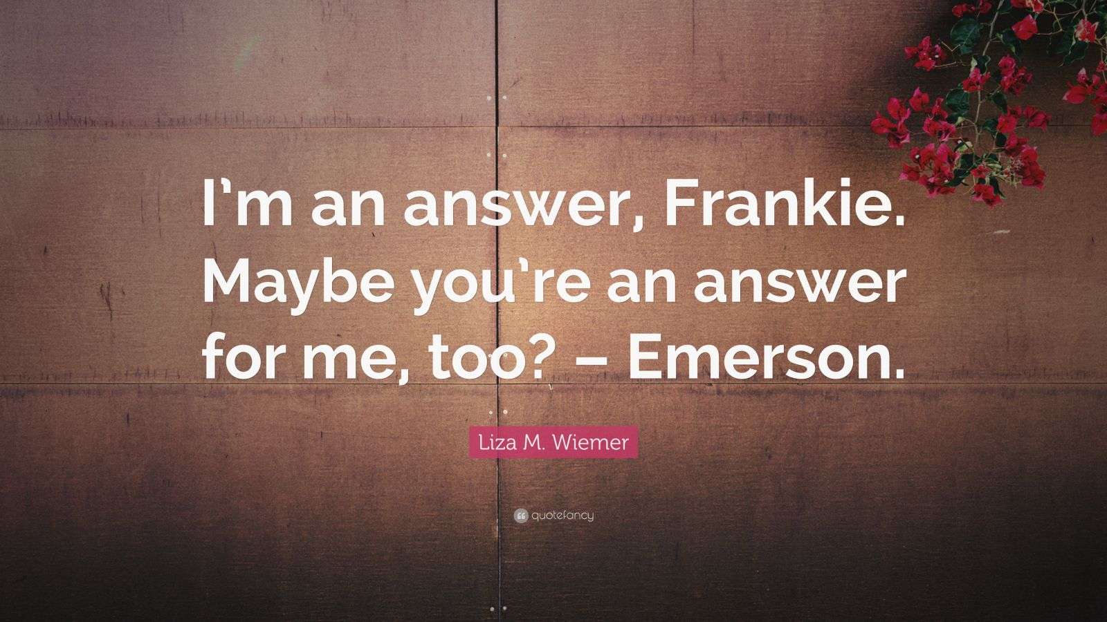 Liza M. Wiemer Quote: “I’m an answer, Frankie. Maybe you’re an answer ...
