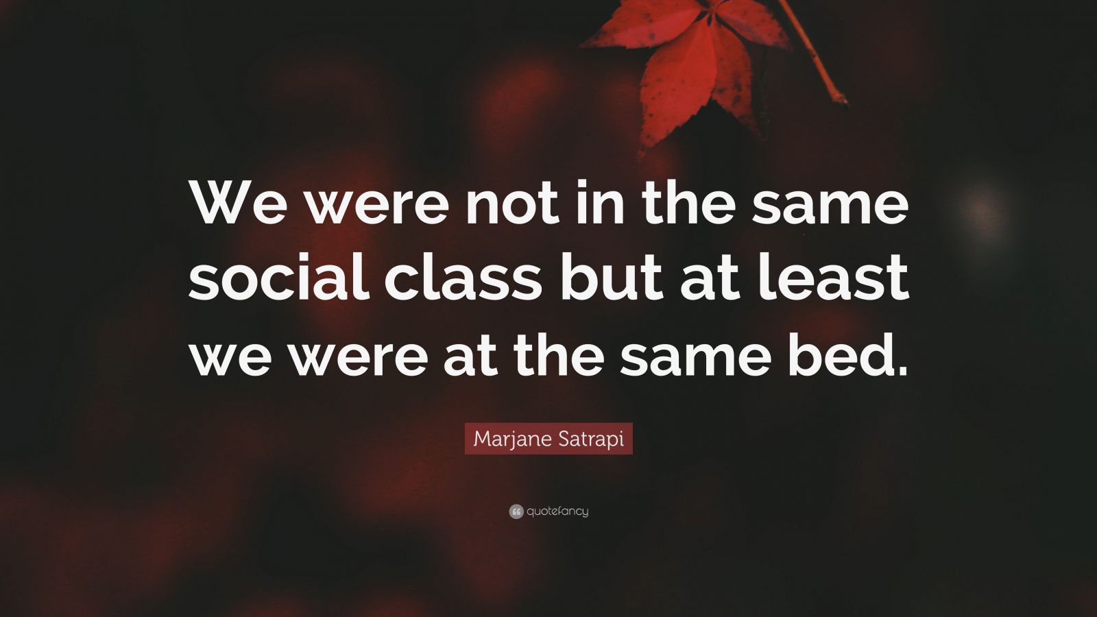 Marjane Satrapi Quote: “We were not in the same social class but at ...