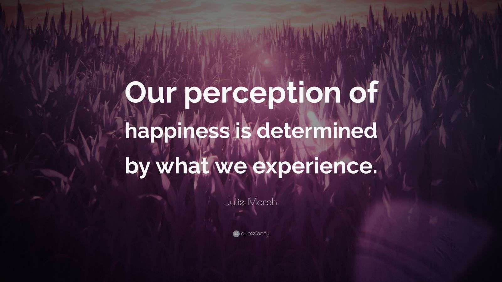 Julie Maroh Quote: “Our perception of happiness is determined by what ...