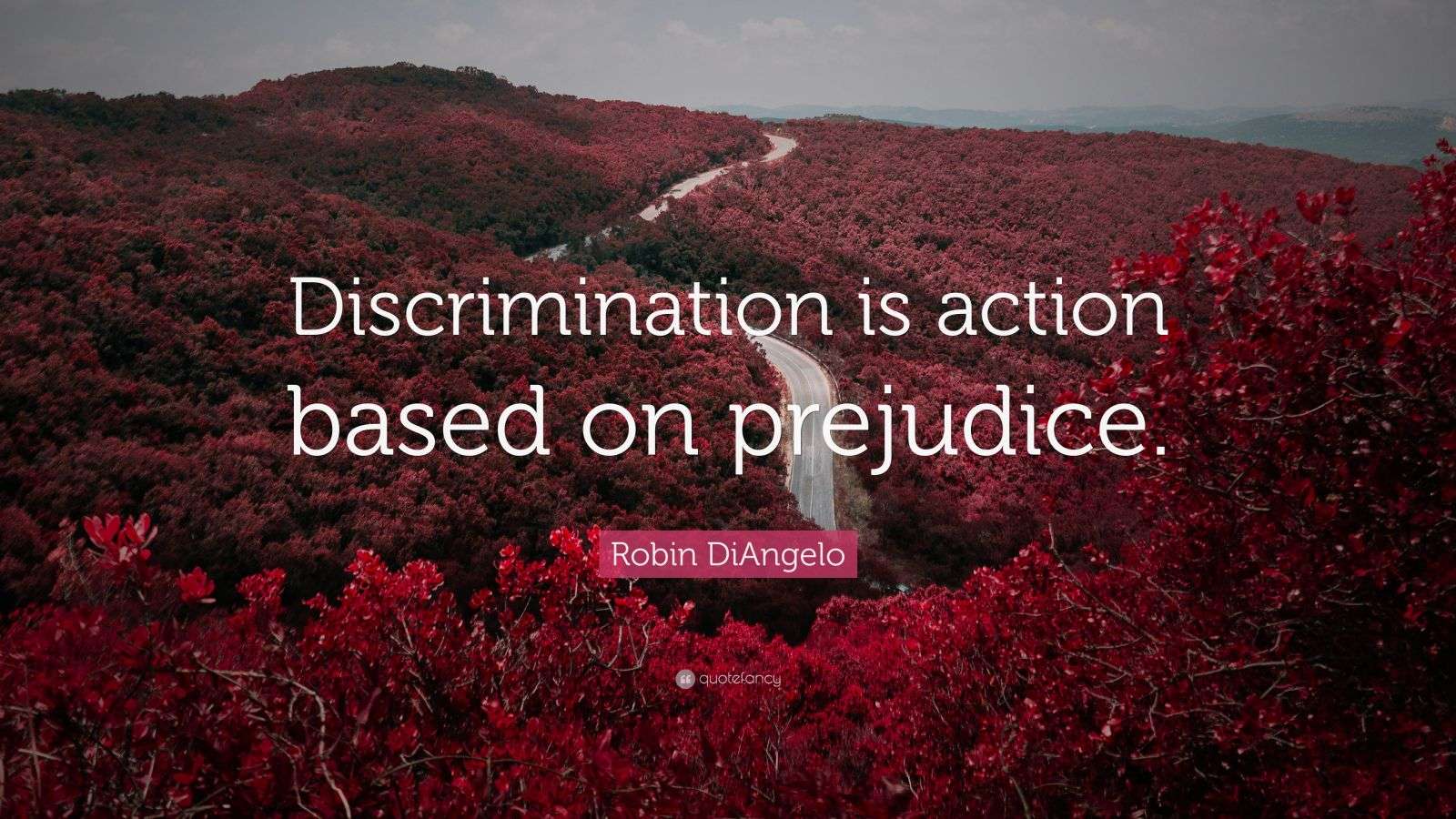 Robin DiAngelo Quote: “Discrimination is action based on prejudice.”