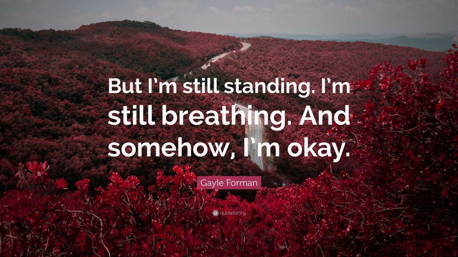 Gayle Forman Quote: “But I’m still standing. I’m still breathing. And ...
