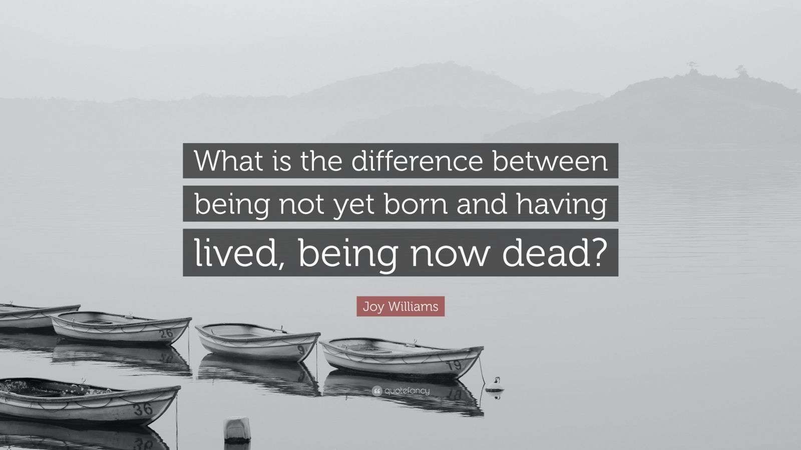Joy Williams Quote: “What is the difference between being not yet born ...