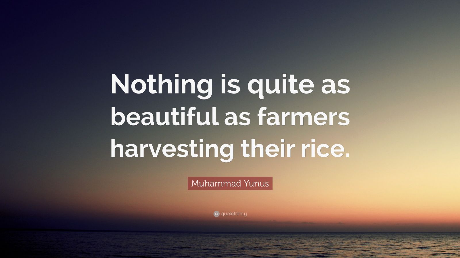 Muhammad Yunus Quote: “Nothing is quite as beautiful as farmers ...