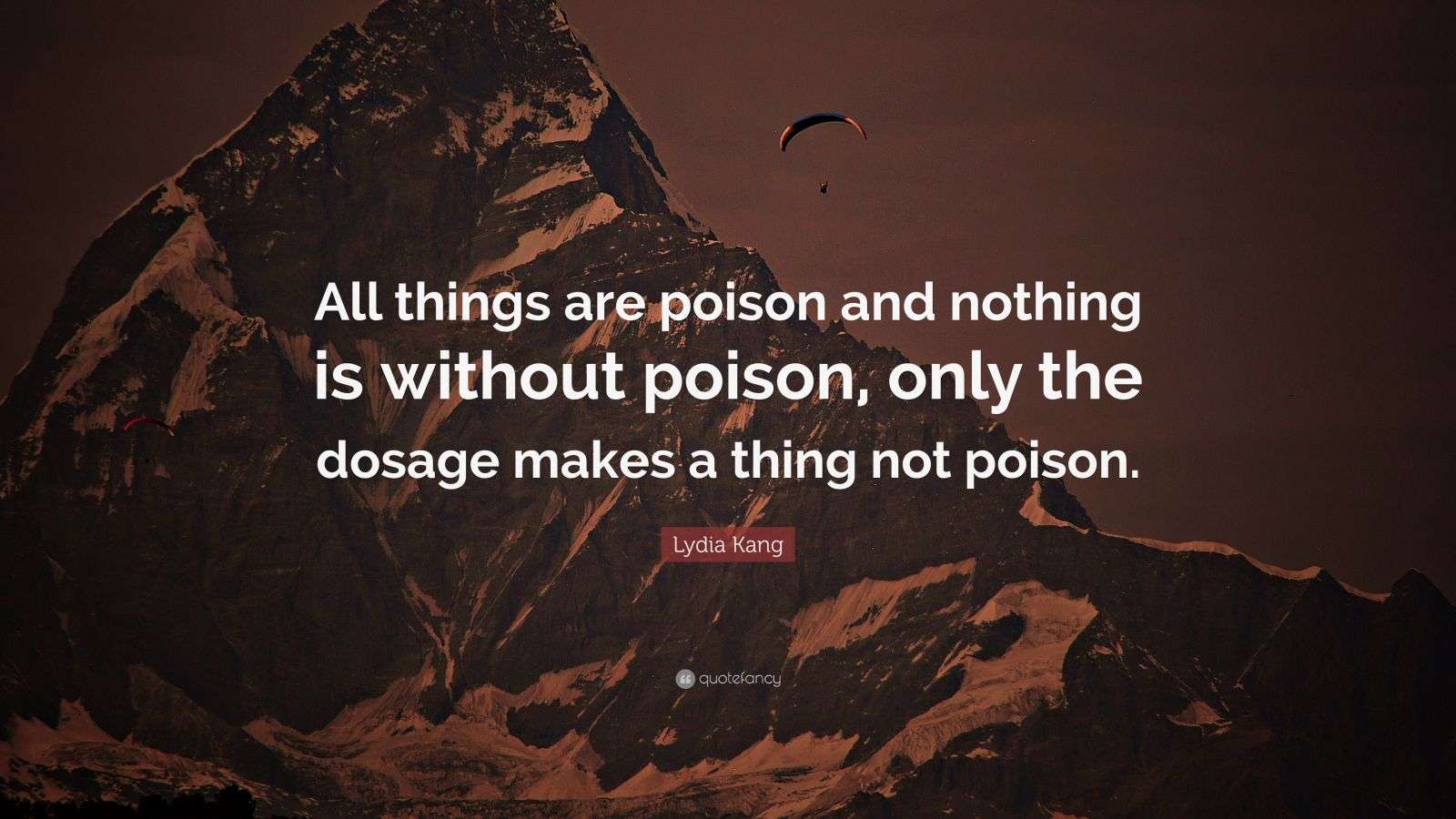 Lydia Kang Quote: “All things are poison and nothing is without poison ...