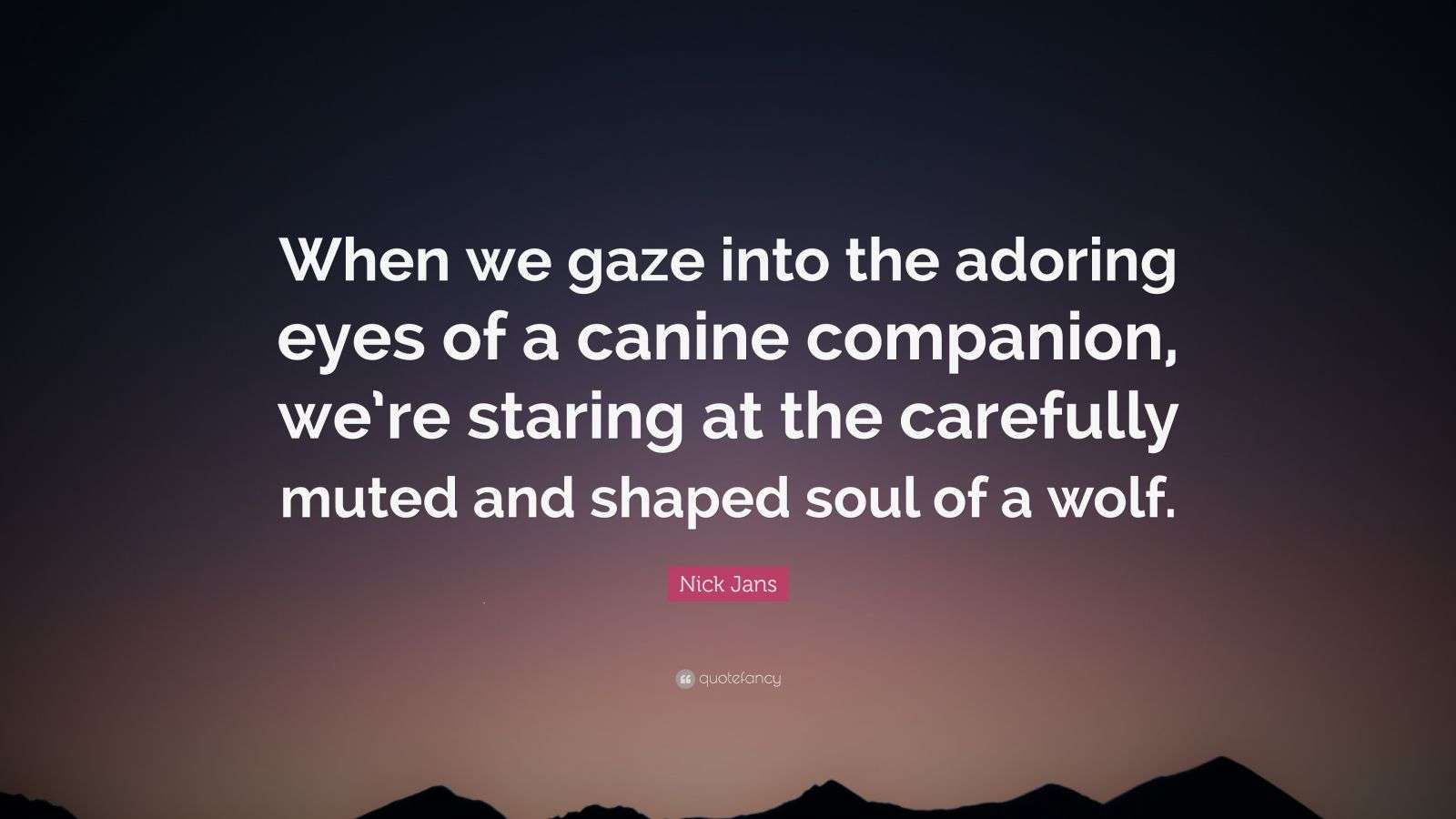 Nick Jans Quote: “When we gaze into the adoring eyes of a canine ...
