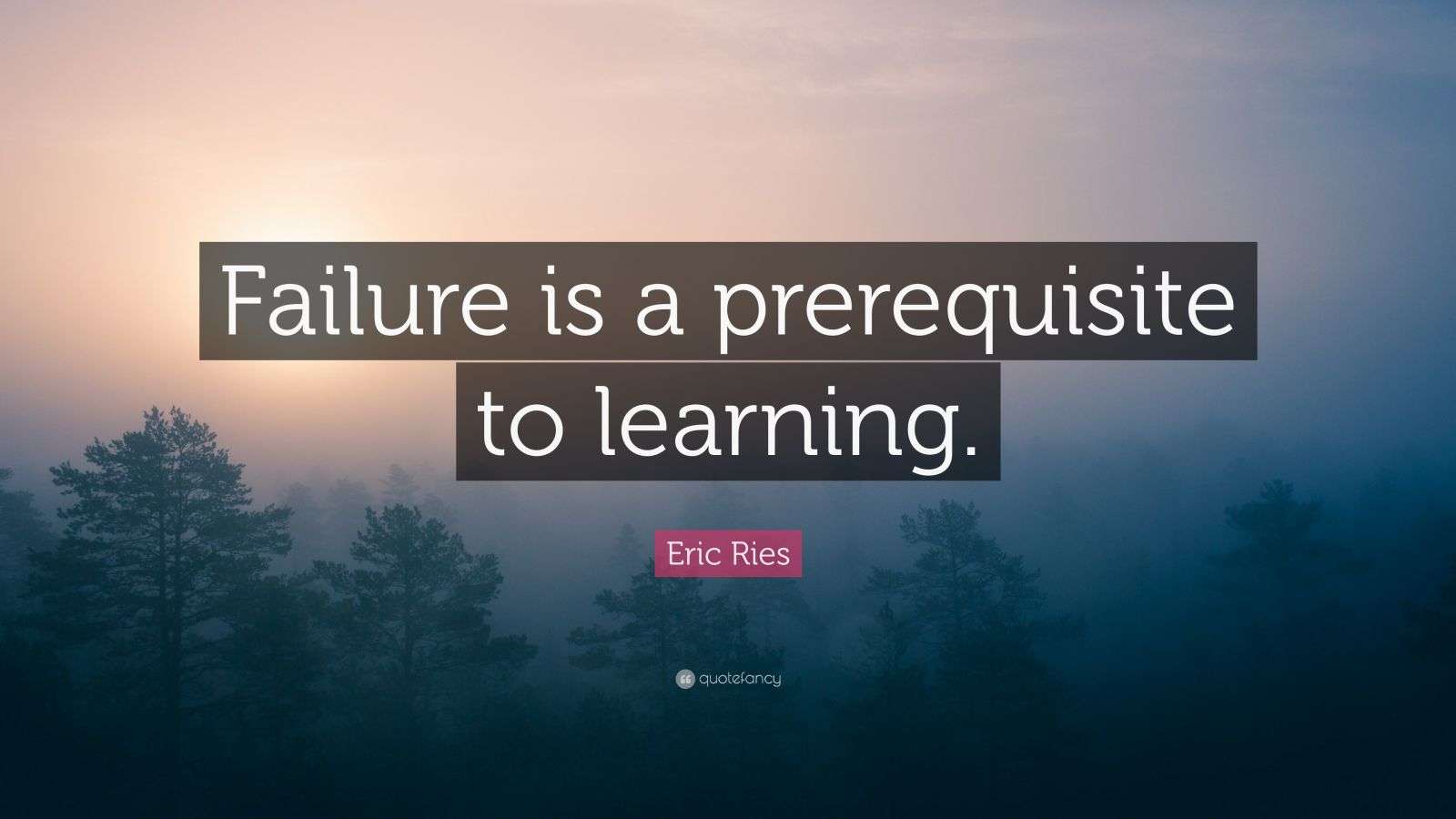Eric Ries Quote: “Failure is a prerequisite to learning.”