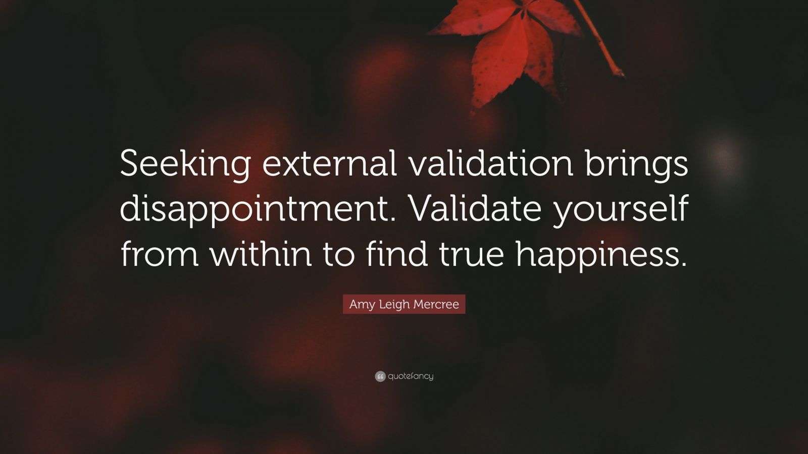 Amy Leigh Mercree Quote: “Seeking external validation brings ...