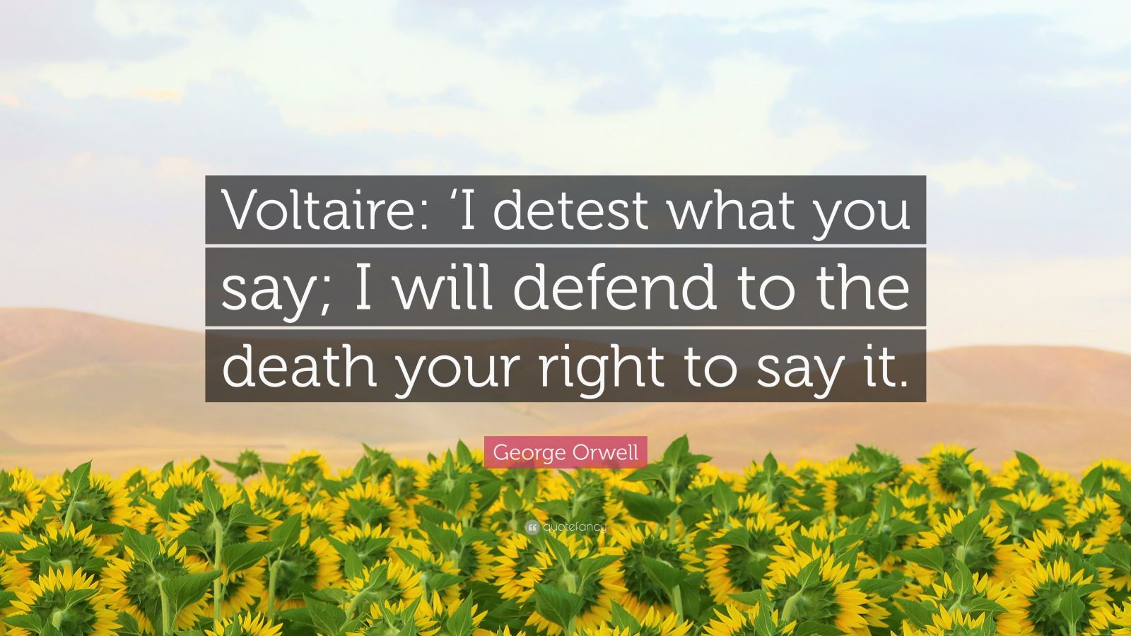 George Orwell Quote: “Voltaire: ‘I detest what you say; I will defend ...