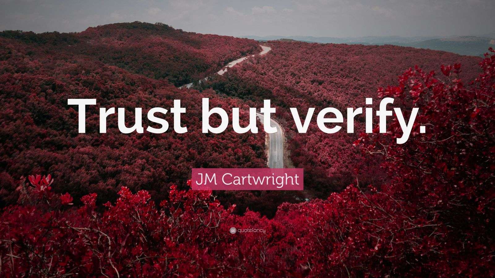 JM Cartwright Quote: “Trust but verify.”