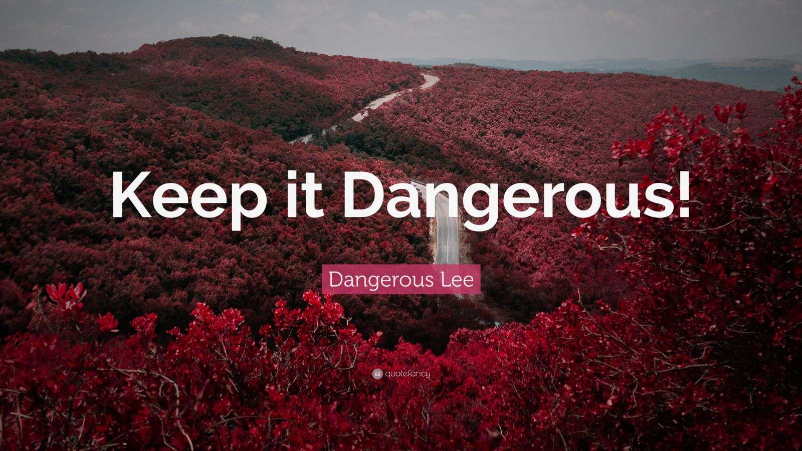 Dangerous Lee Quote: “Keep it Dangerous!”
