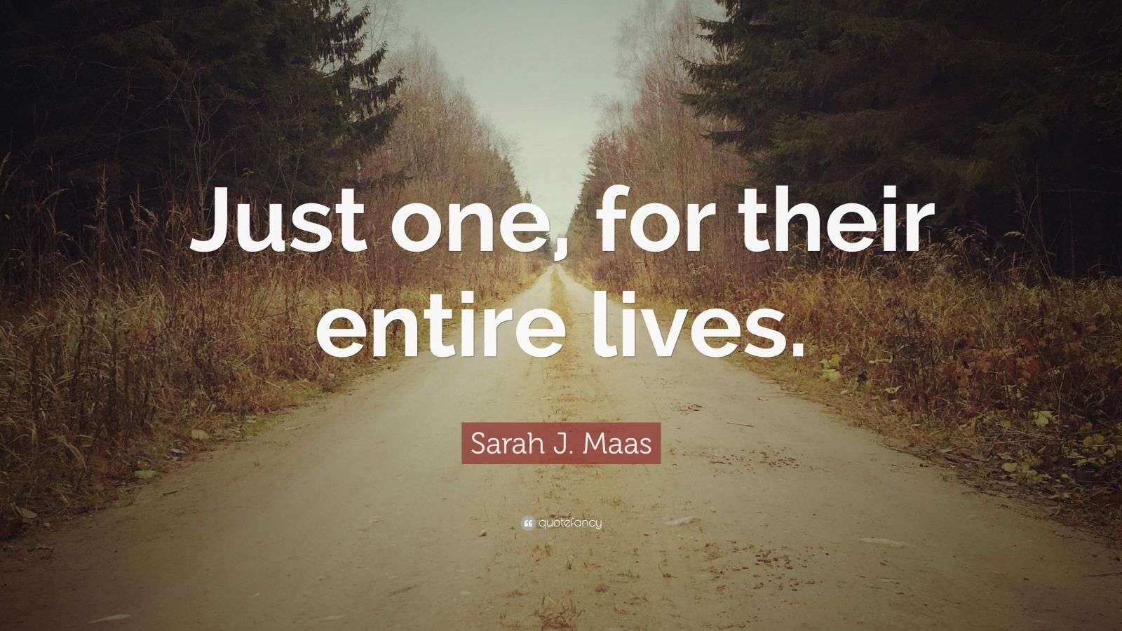 Sarah J. Maas Quote: “Just one, for their entire lives.”