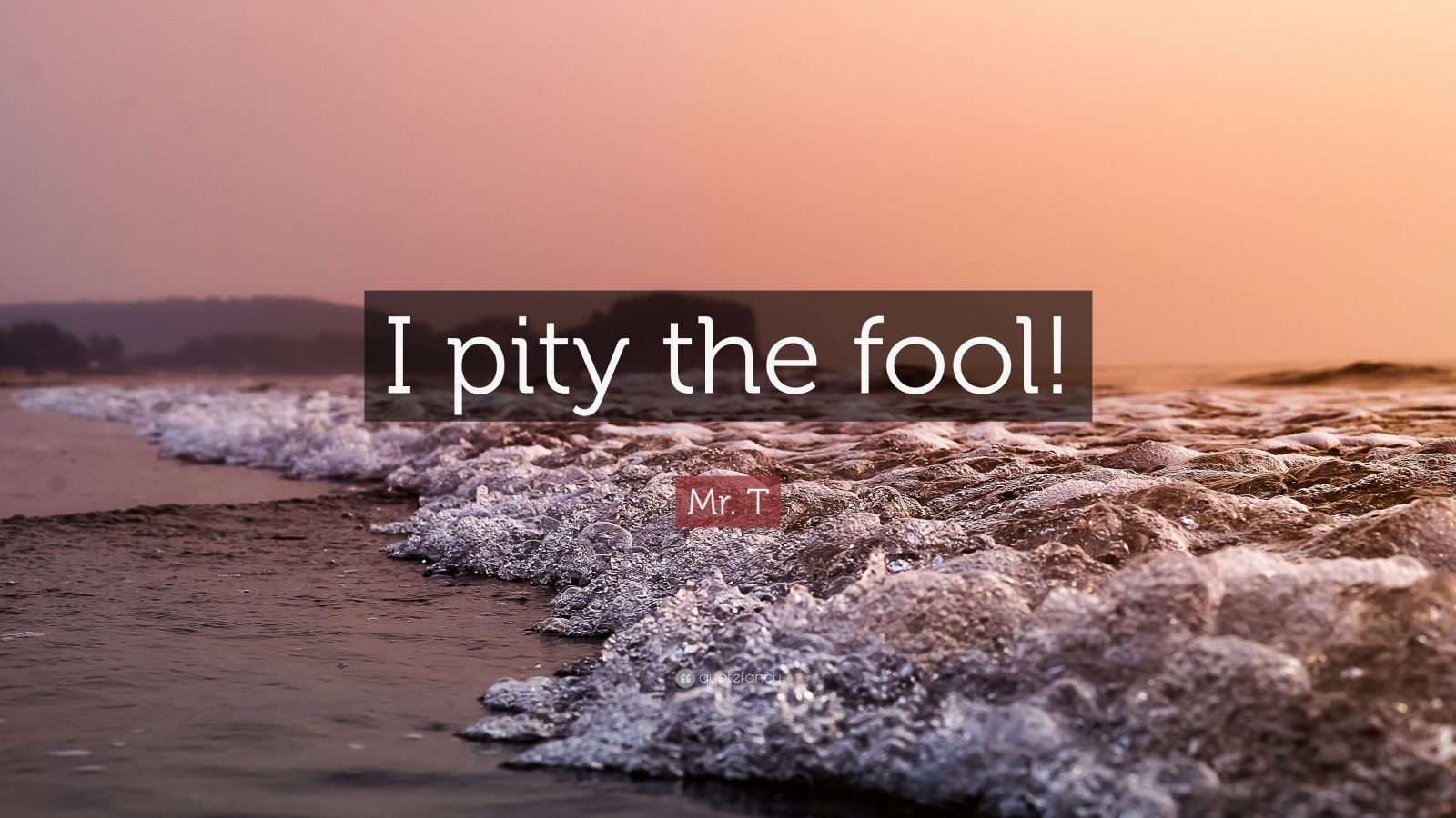 Top 3 Mr. T Quotes (2026 Update) - QuoteFancy