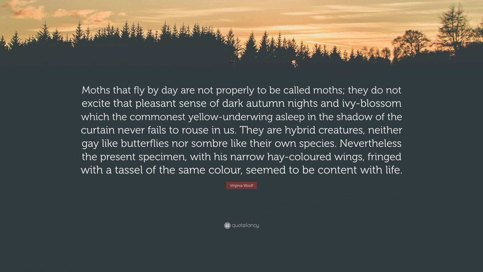 Virginia Woolf Quote: “Moths that fly by day are not properly to be ...