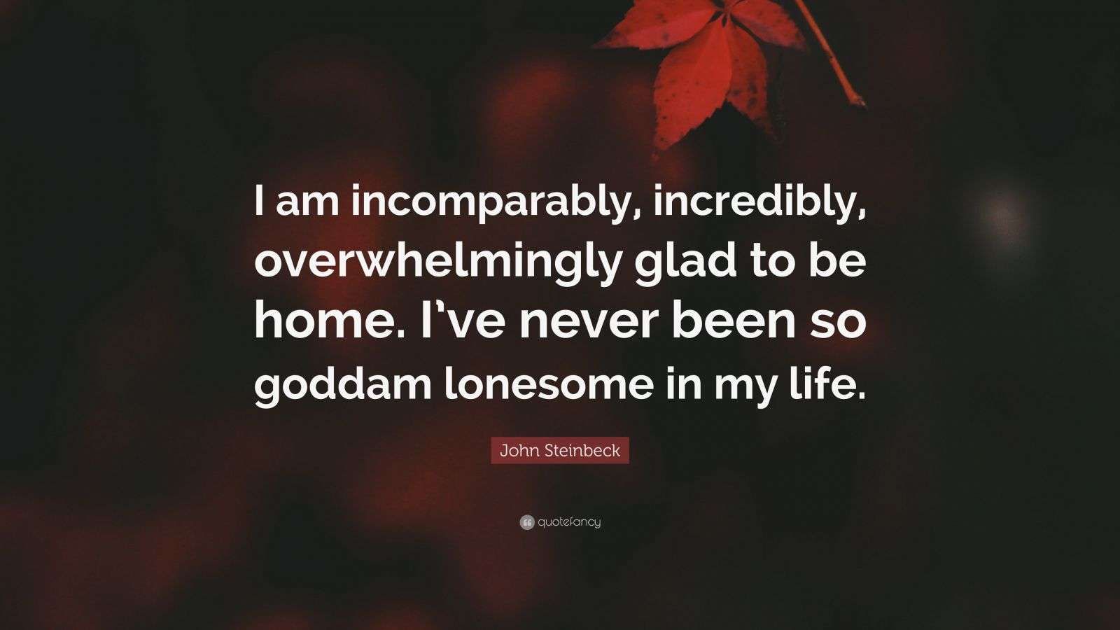 John Steinbeck Quote: “I am incomparably, incredibly, overwhelmingly ...