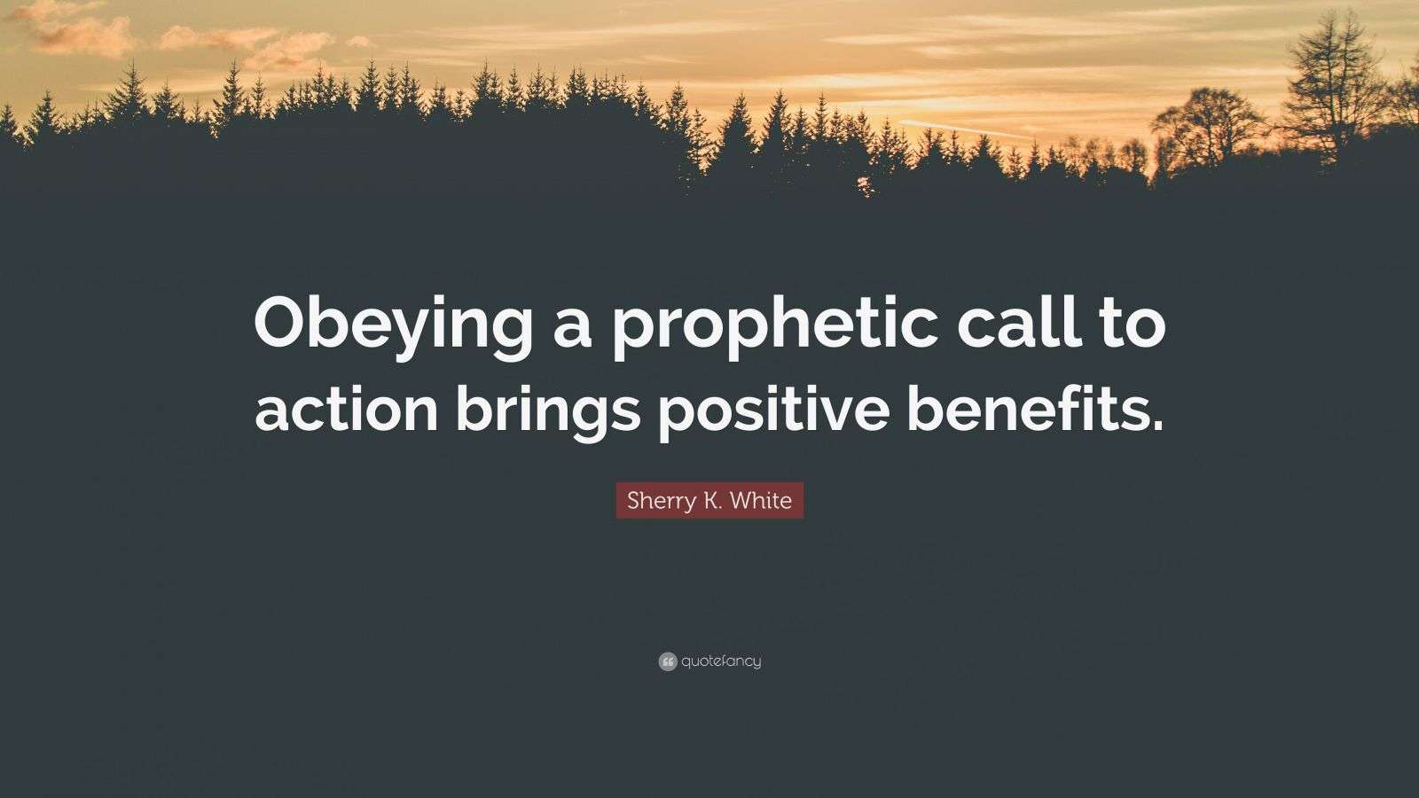 Sherry K. White Quote: “Obeying a prophetic call to action brings ...