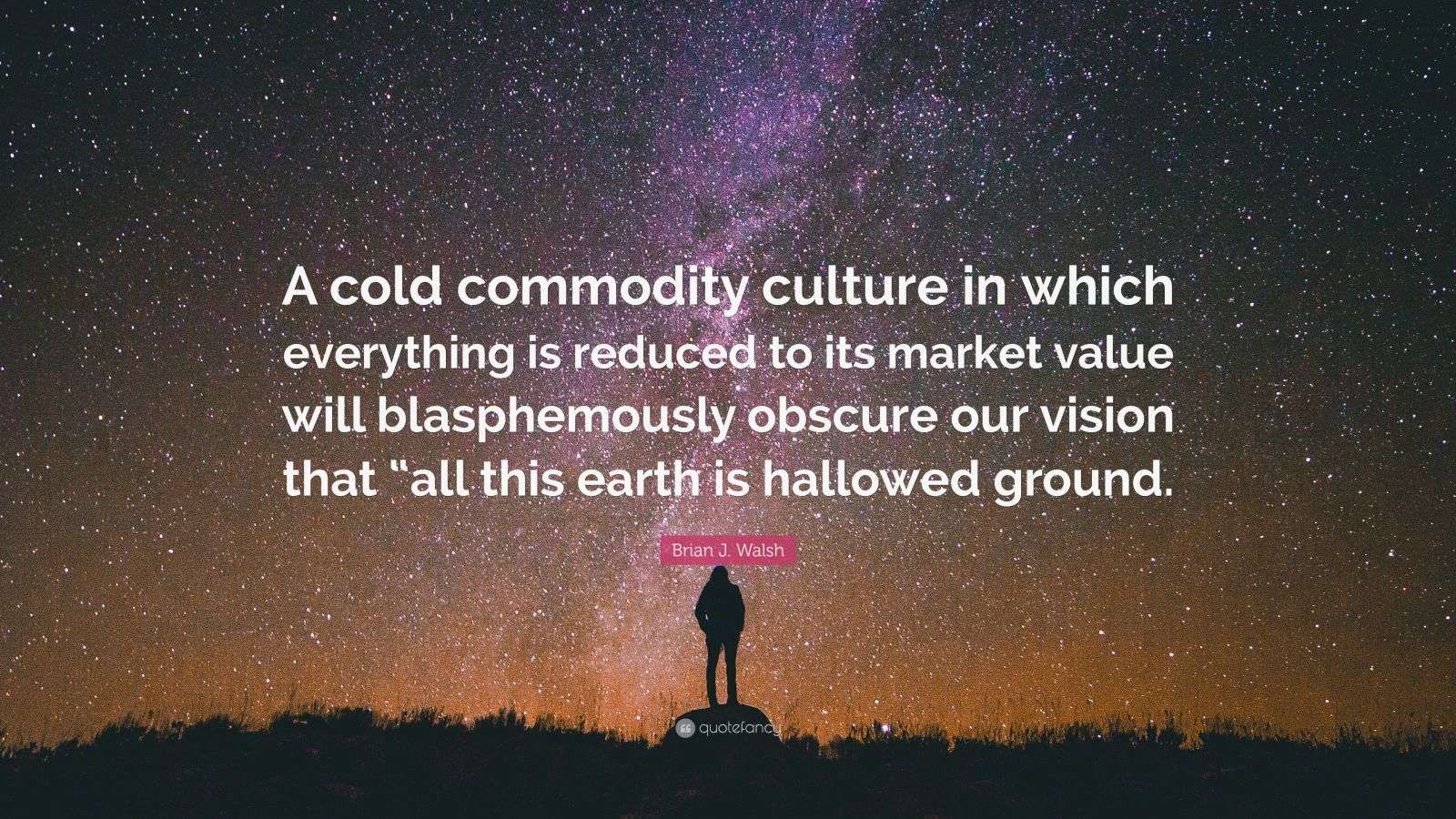 Brian J. Walsh Quote: “A cold commodity culture in which everything is ...
