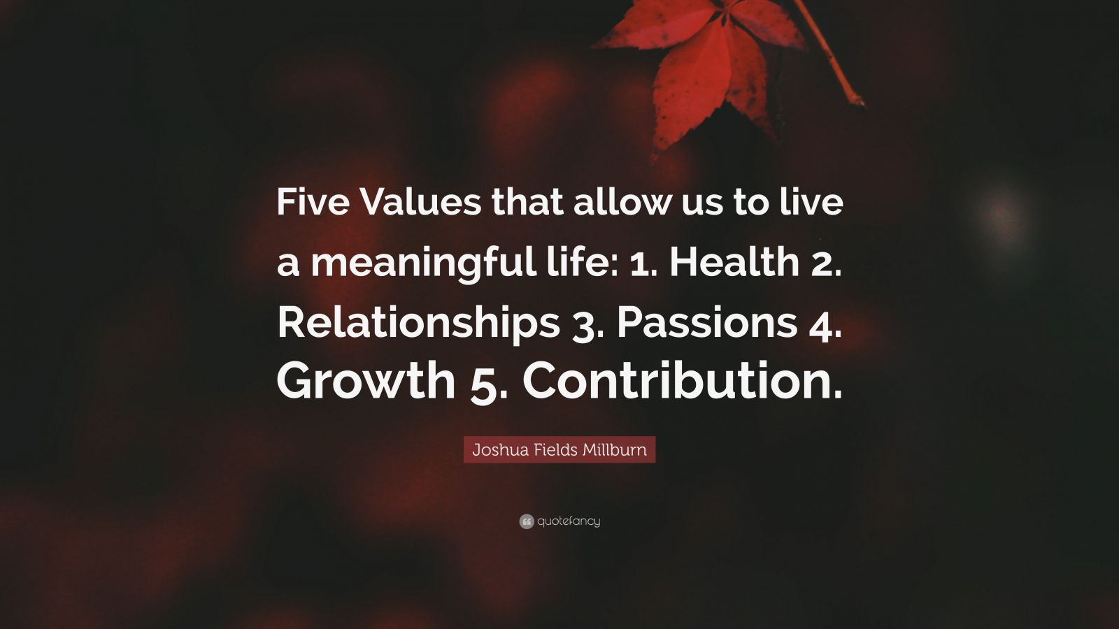 Joshua Fields Millburn Quote: “Five Values that allow us to live a ...