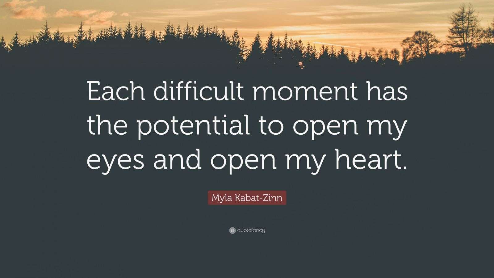 Top 3 Myla Kabat-Zinn Quotes (2022 Update) - Quotefancy