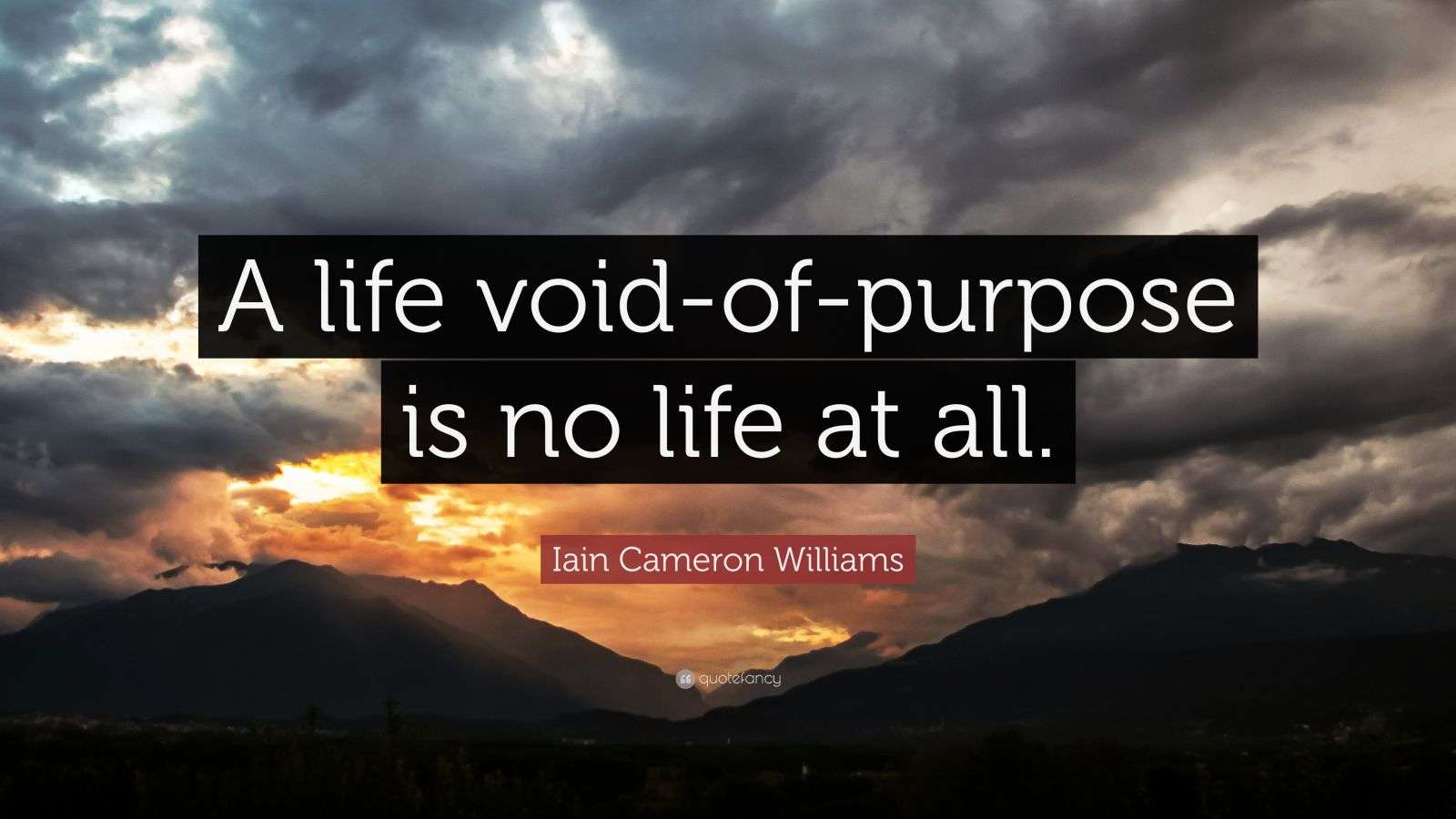 Iain Cameron Williams Quote: “A life void-of-purpose is no life at all.”