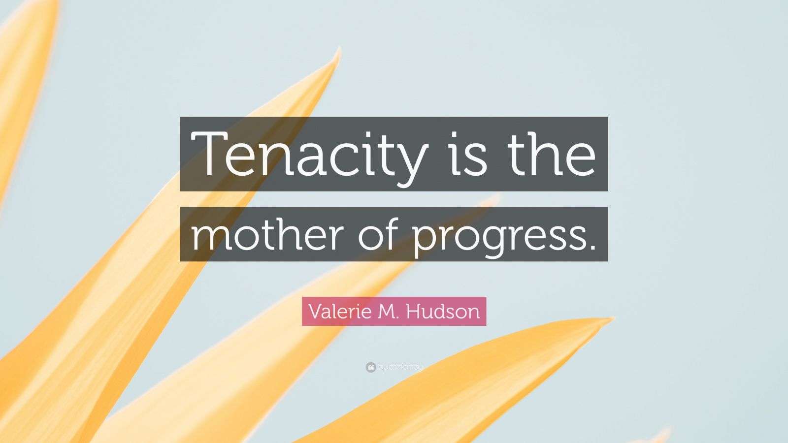 Valerie M. Hudson Quote: “Tenacity is the mother of progress.”