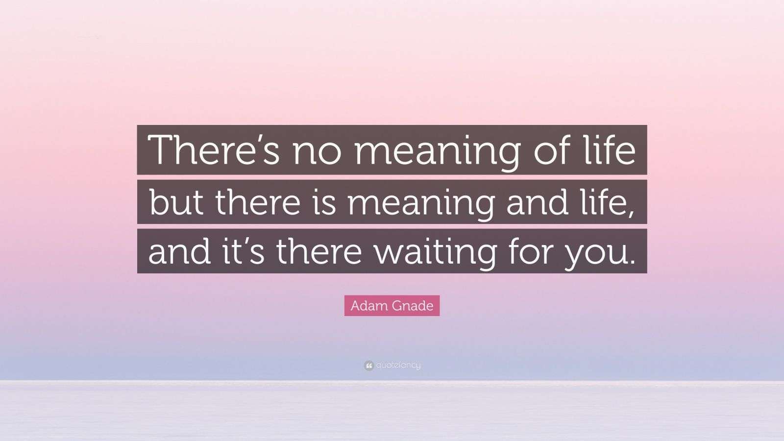 Adam Gnade Quote: “There’s no meaning of life but there is meaning and ...