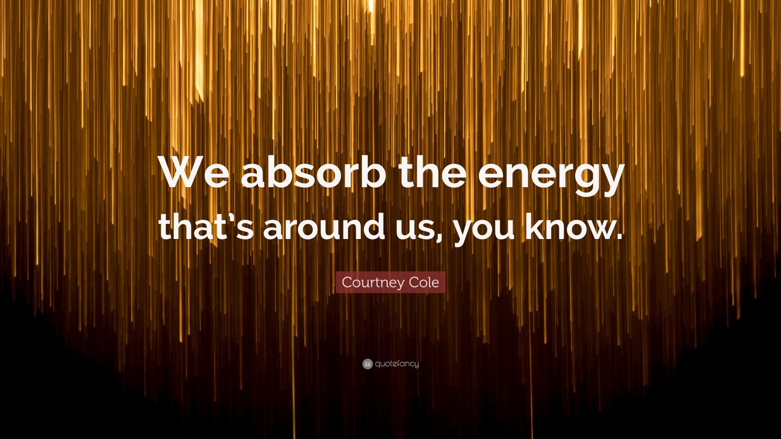 Courtney Cole Quote: “We absorb the energy that’s around us, you know.”