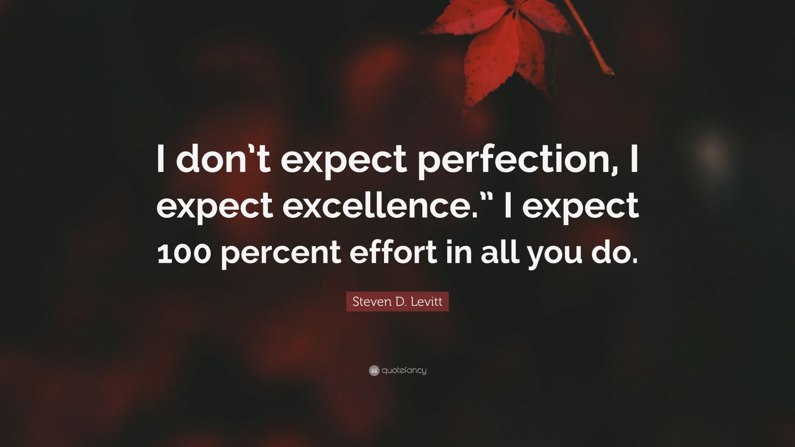 Steven D. Levitt Quote: “I don’t expect perfection, I expect excellence ...
