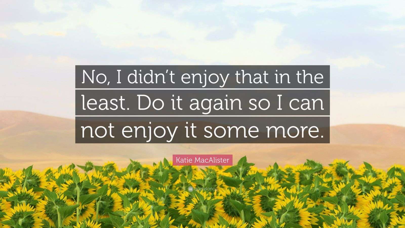 Katie MacAlister Quote: “No, I didn’t enjoy that in the least. Do it ...