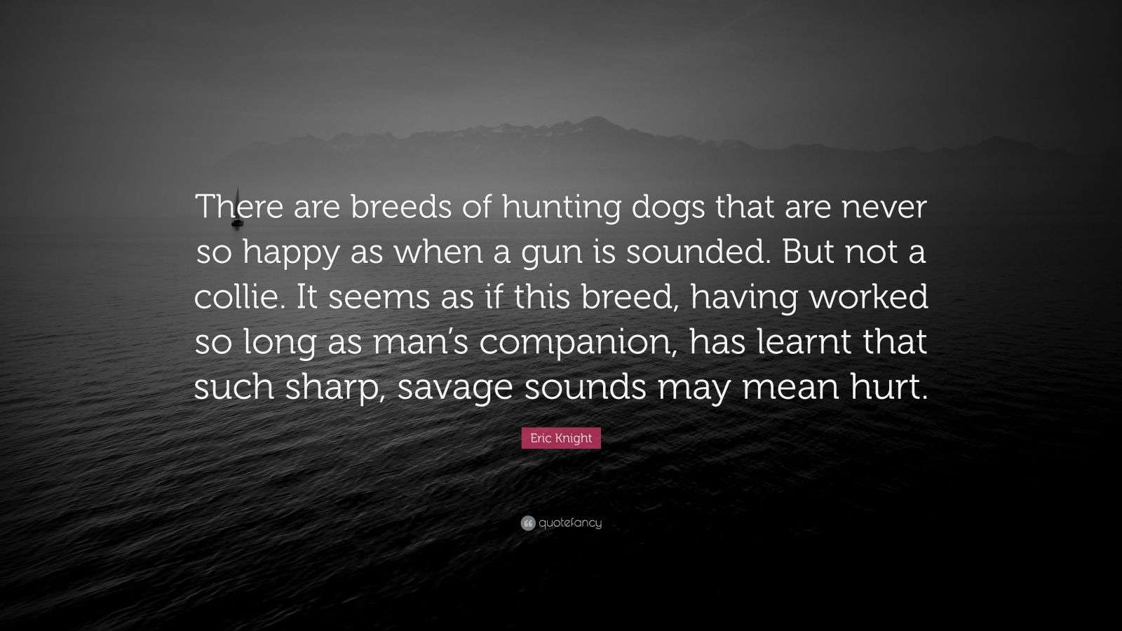 Eric Knight Quote: “There are breeds of hunting dogs that are never so ...
