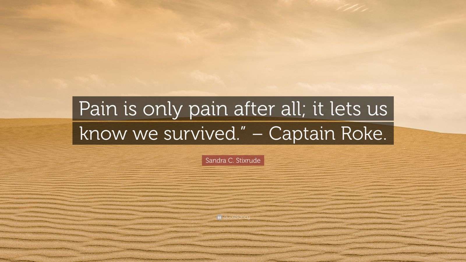 Sandra C. Stixrude Quote: “Pain is only pain after all; it lets us know ...