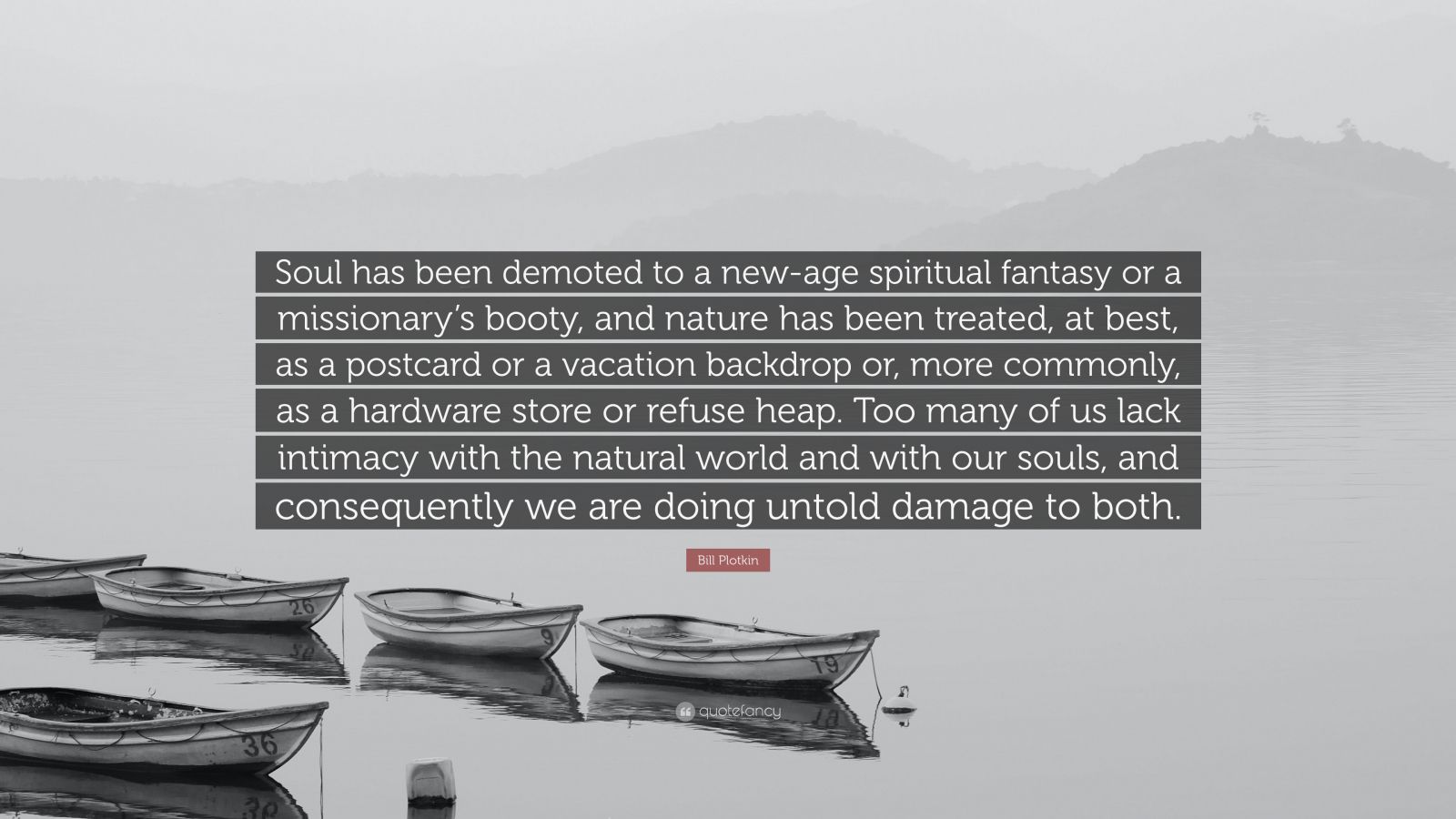 Bill Plotkin Quote: “Soul has been demoted to a new-age spiritual ...