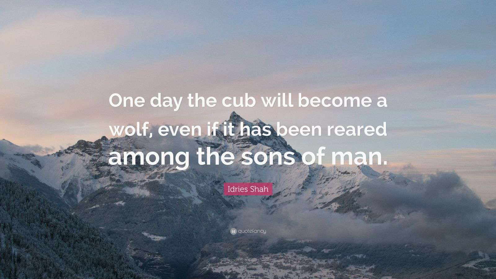 Idries Shah Quote: “One day the cub will become a wolf, even if it has ...